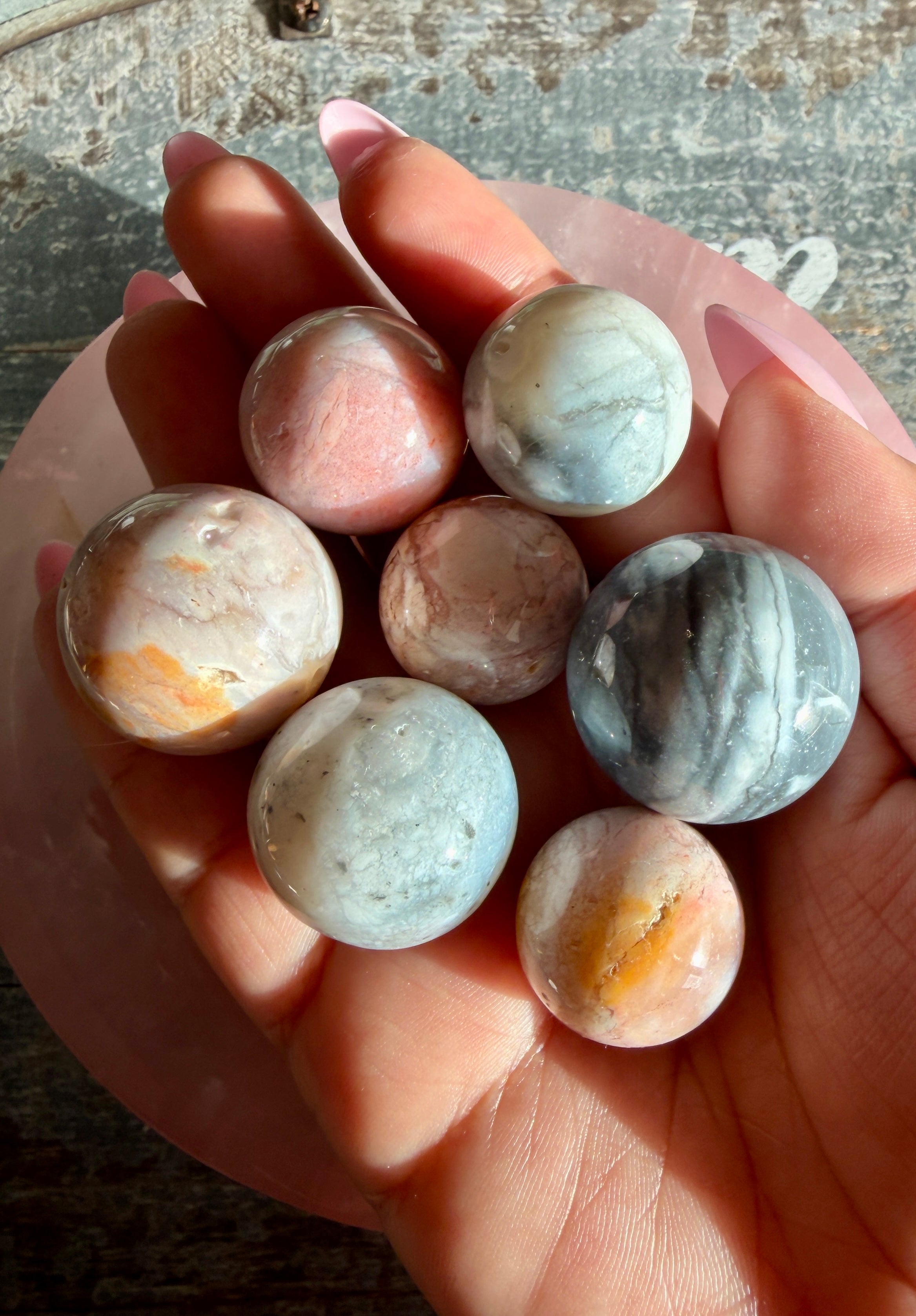 One (1) Petrified Wood Mini Sphere – ColdBrewCrystals